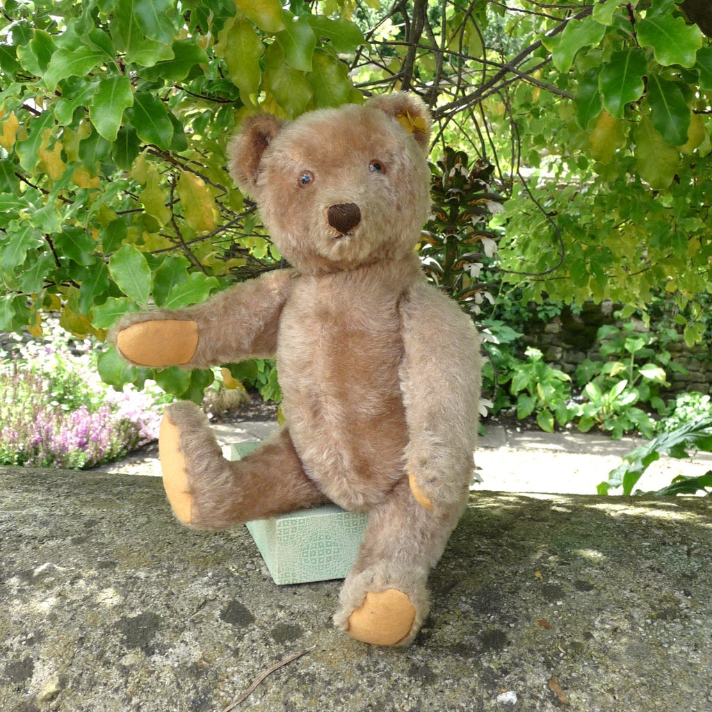 Vintage Bears – Teddy Bears