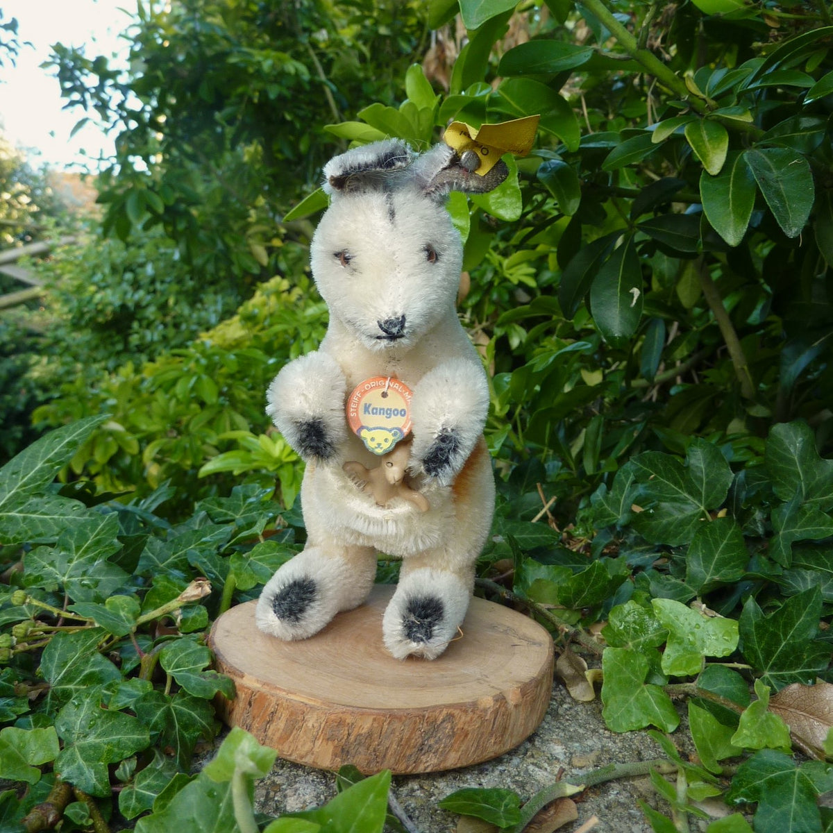 Steiff Kangoo Kangaroo, circa 1959-1966 – Teddy Bears
