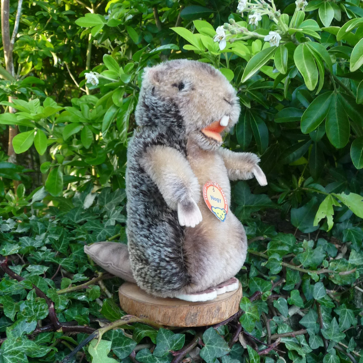 Steiff Nagy Beaver, from the Steiff Archives, made in 1970 – Teddy Bears