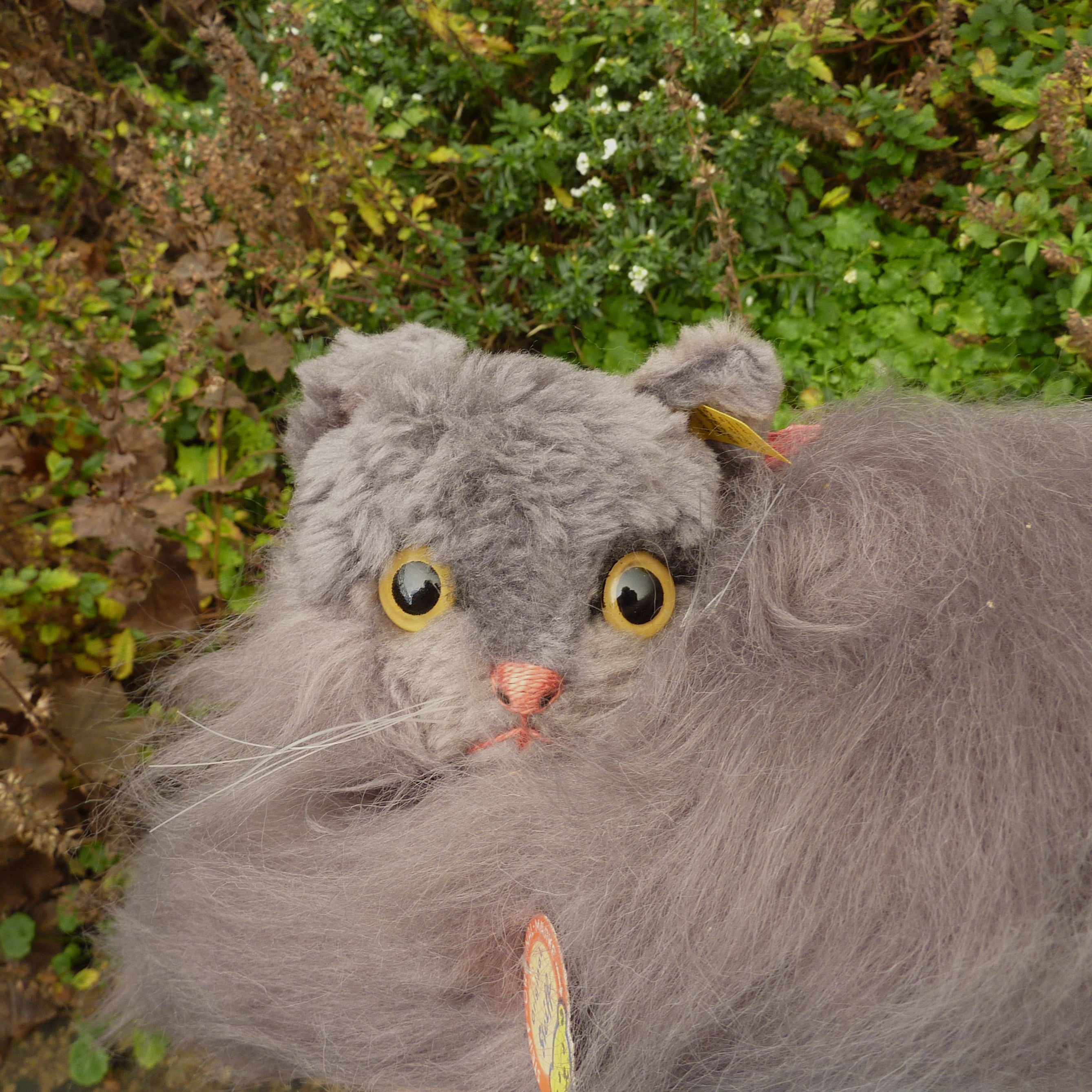 Steiff Diva Angora Cat Grey, from the Steiff Archives, dated 1968 ...