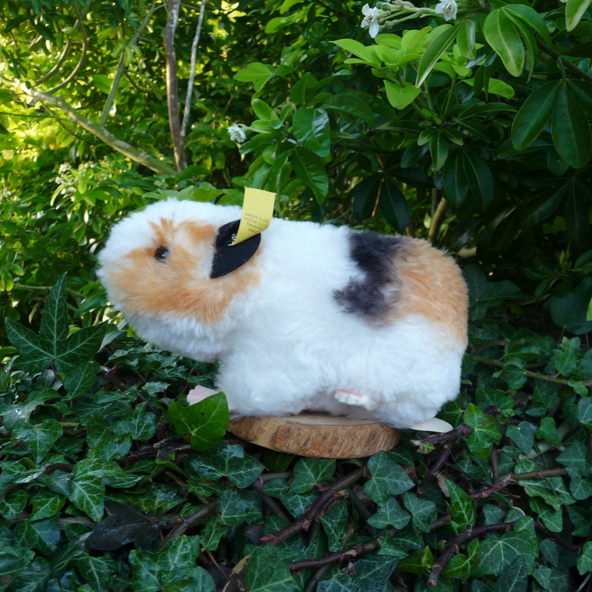 Steiff Swiny Guinea Pig, from the Steiff Archives, made in 1962 – Teddy ...
