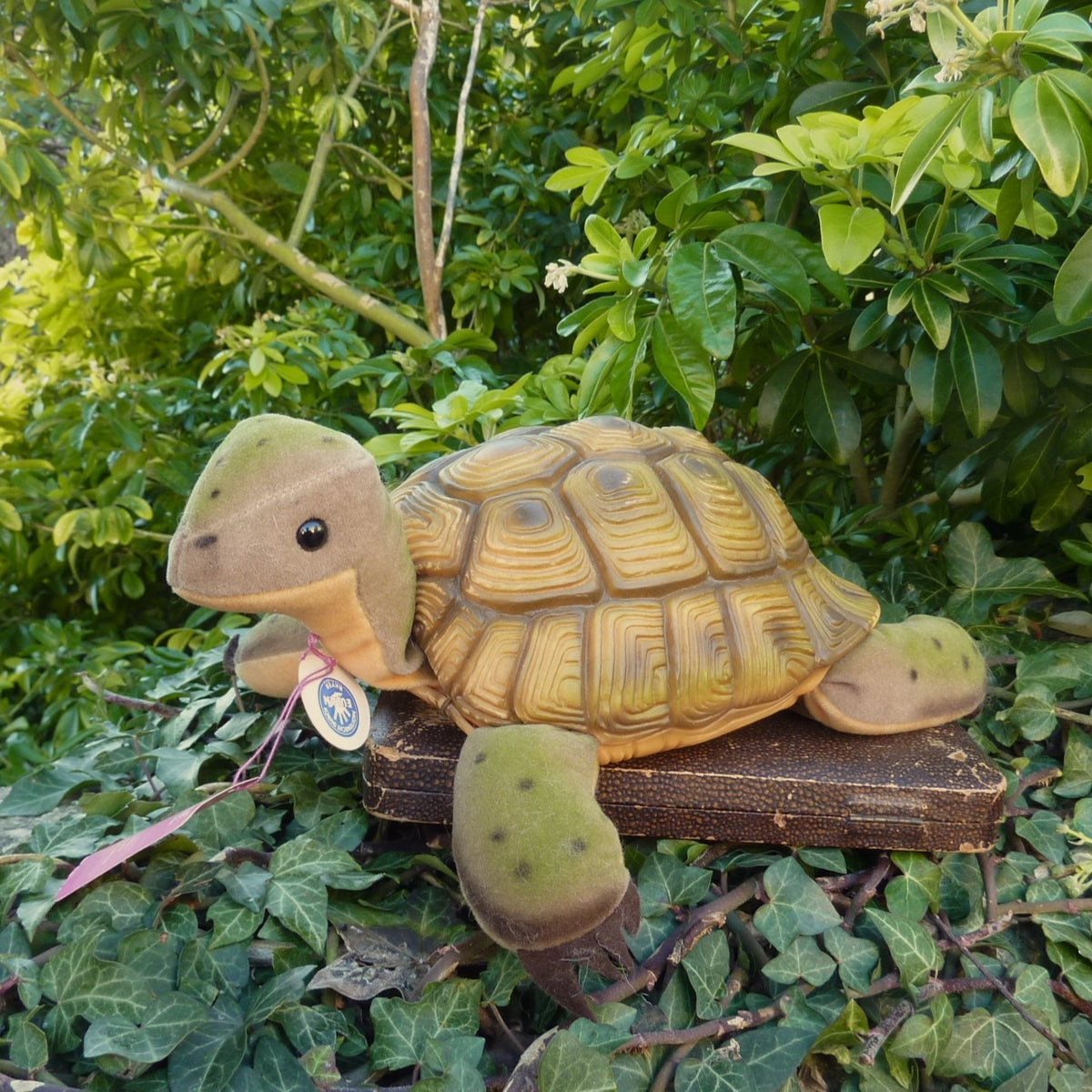 Steiff Slo Tortoise 22cm, from the Steiff Archives, made in 1976 ...