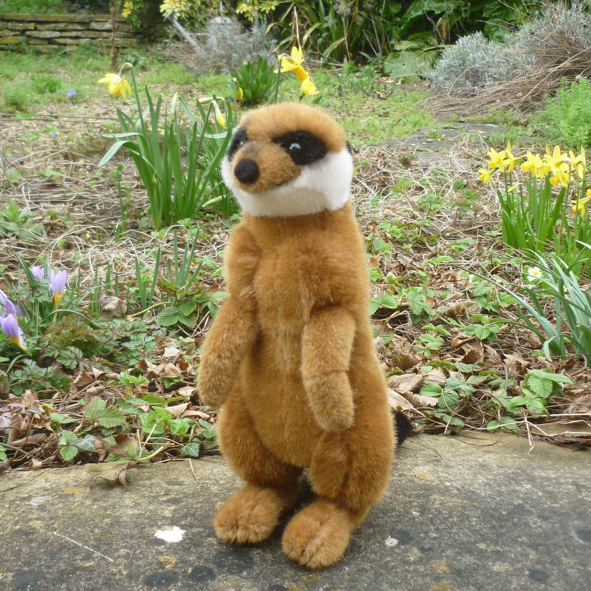 Meerkat, Small by Kosen – Teddy Bears